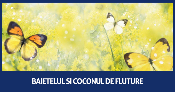 Băiețelul și coconul de fluture – Vreau NLP! România